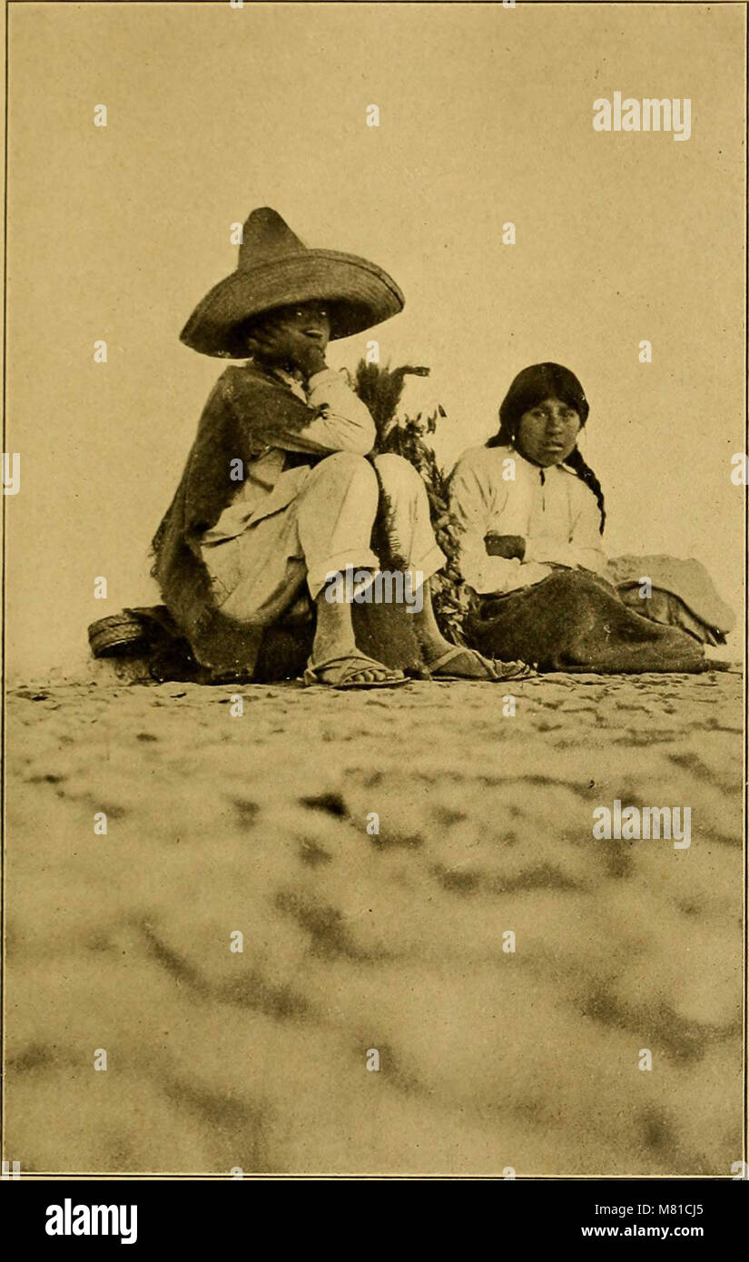 "Mexico and her people of to-day; an account of the customs ...