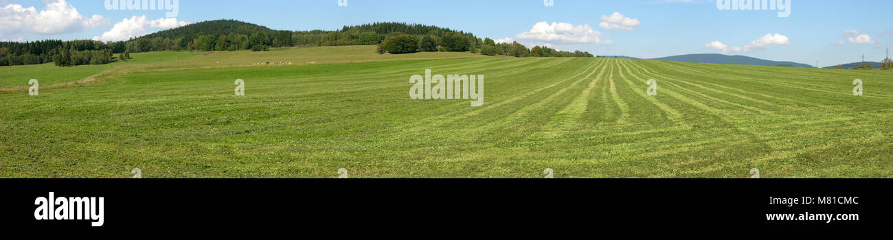Mown areas hi-res stock photography and images - Alamy