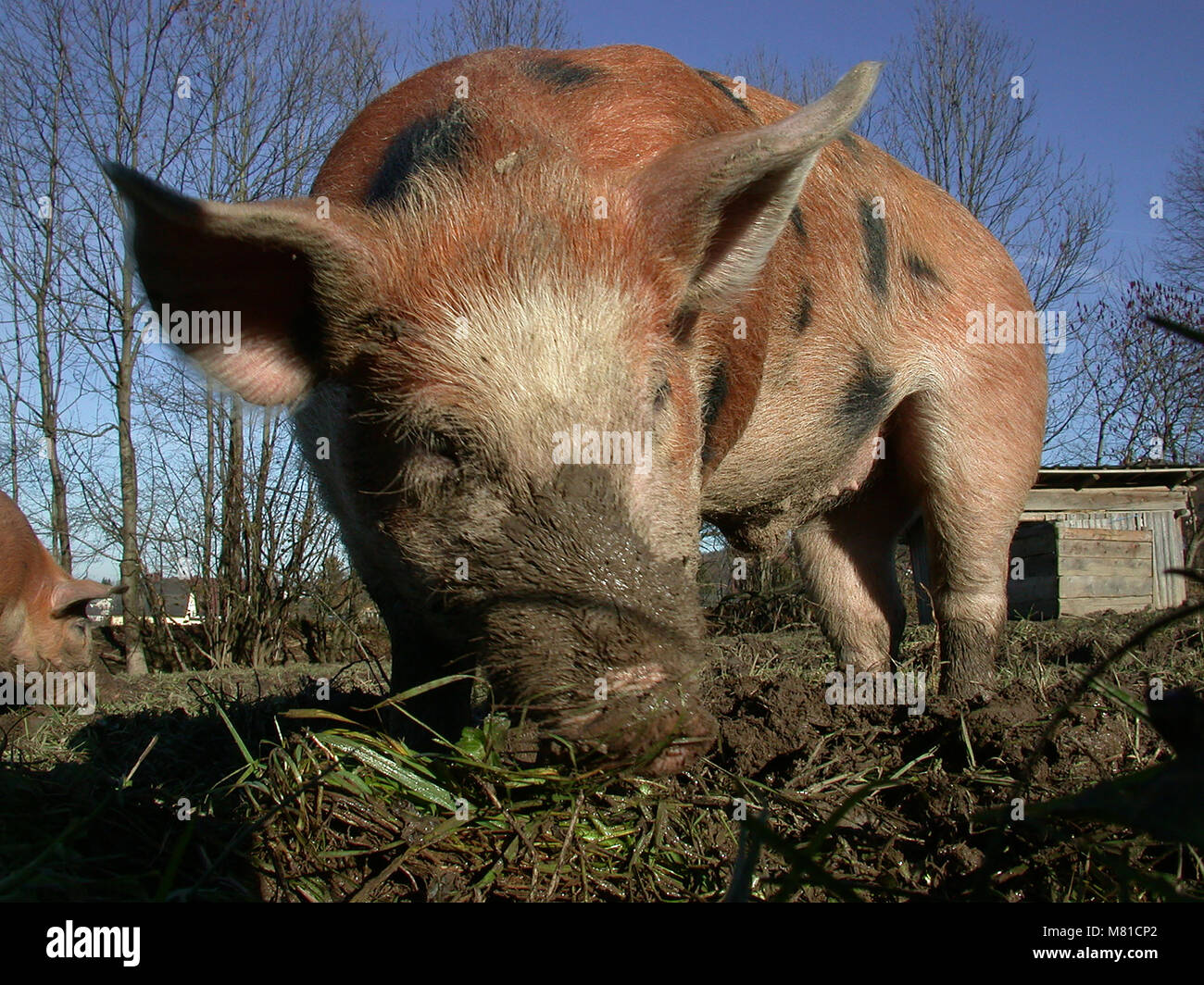Open ground hi-res stock photography and images - Alamy
