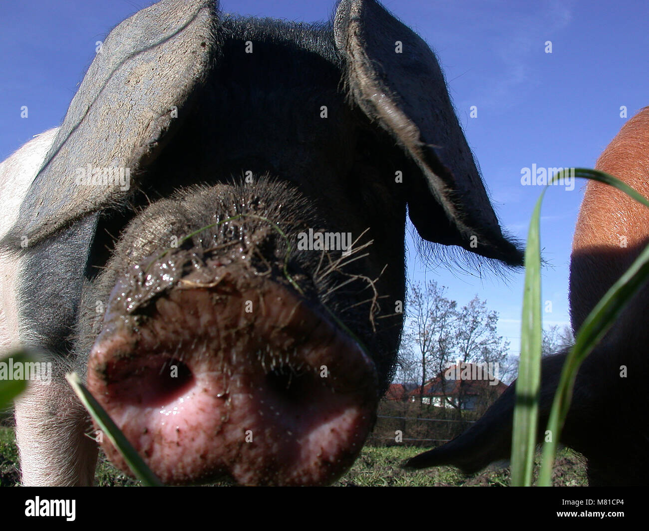 Open ground hi-res stock photography and images - Alamy