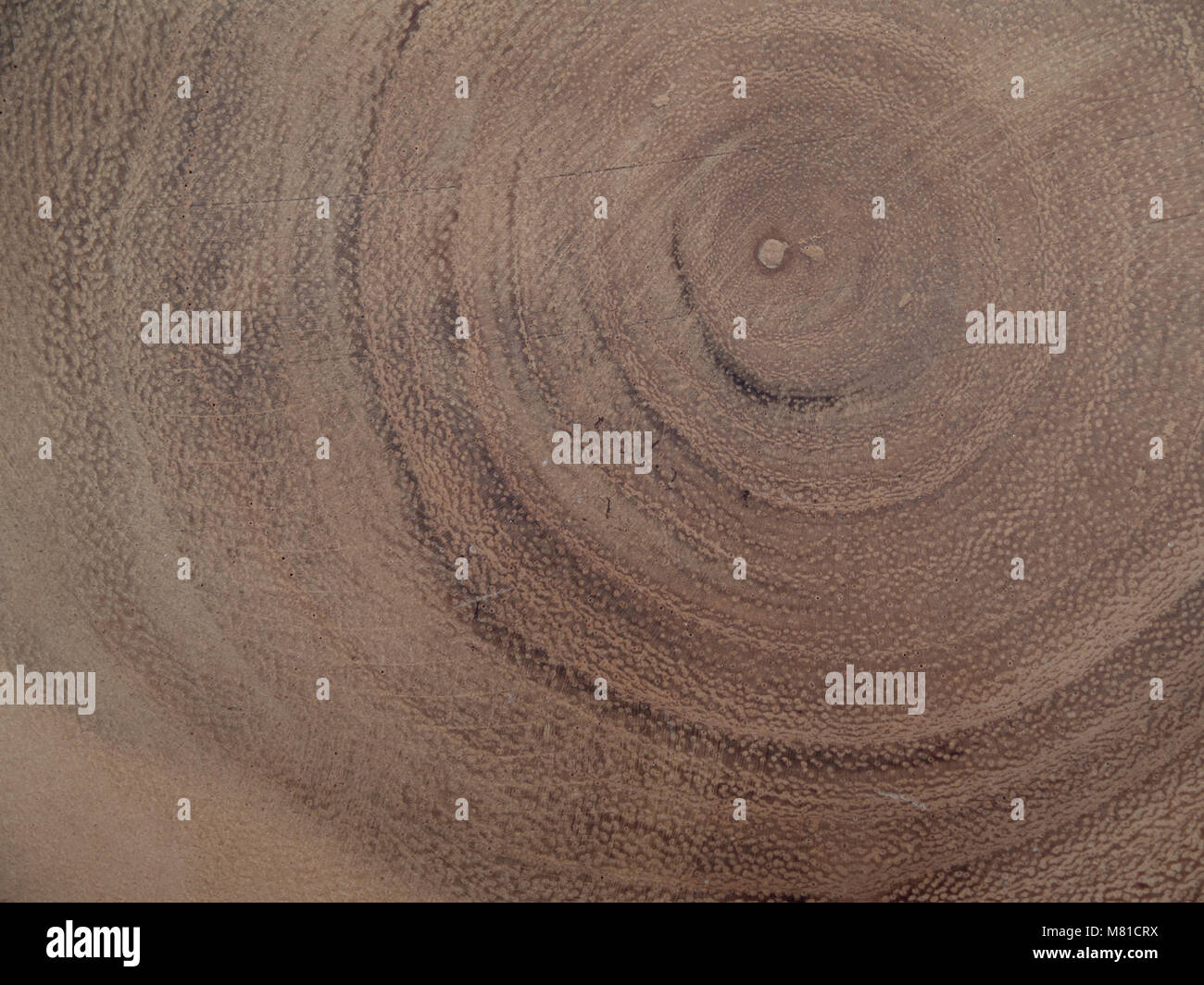 Wood floors hi-res stock photography and images - Alamy