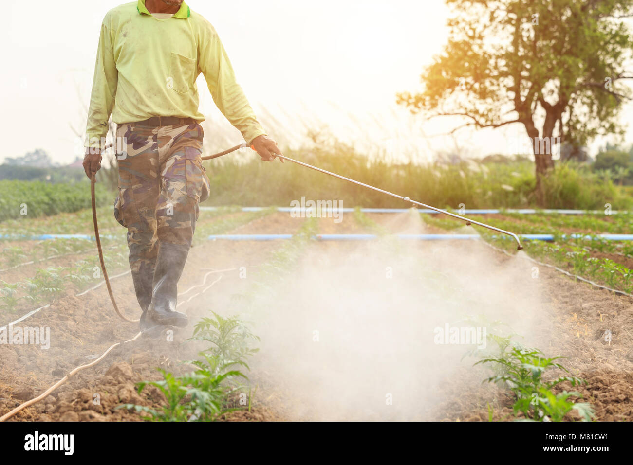 Chemical spraying machine hi-res stock photography and images - Alamy