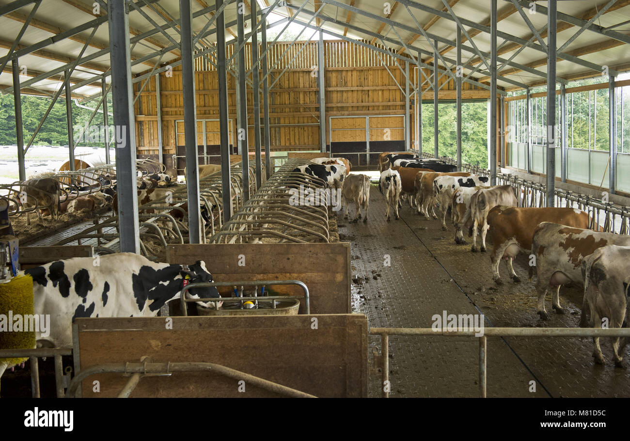 Pen barn 1 Stock Photo - Alamy