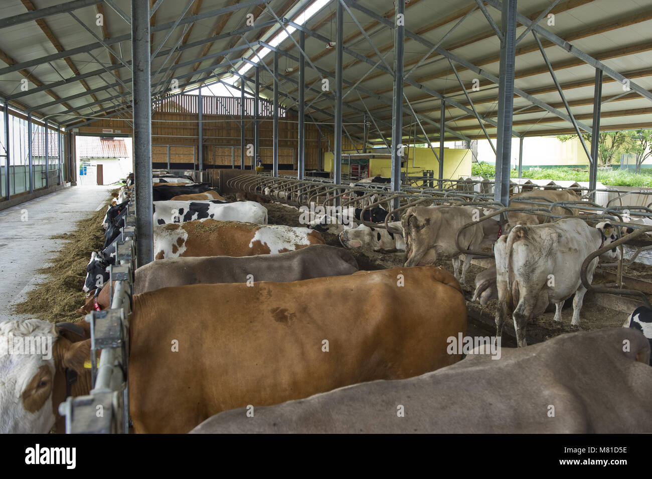 Pen barn 2 Stock Photo - Alamy