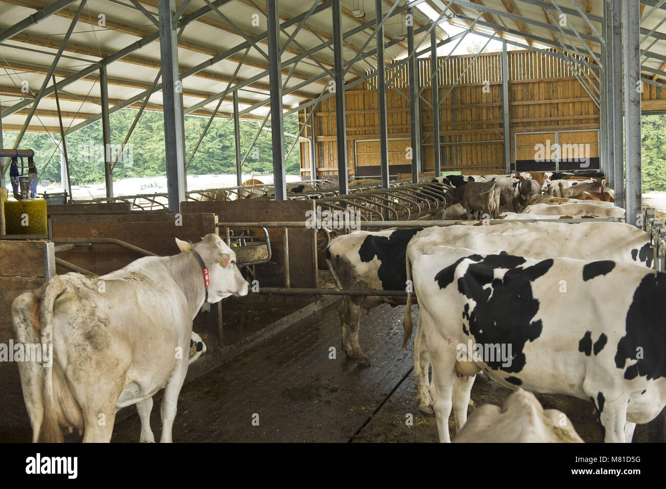 Pen barn 3 Stock Photo - Alamy