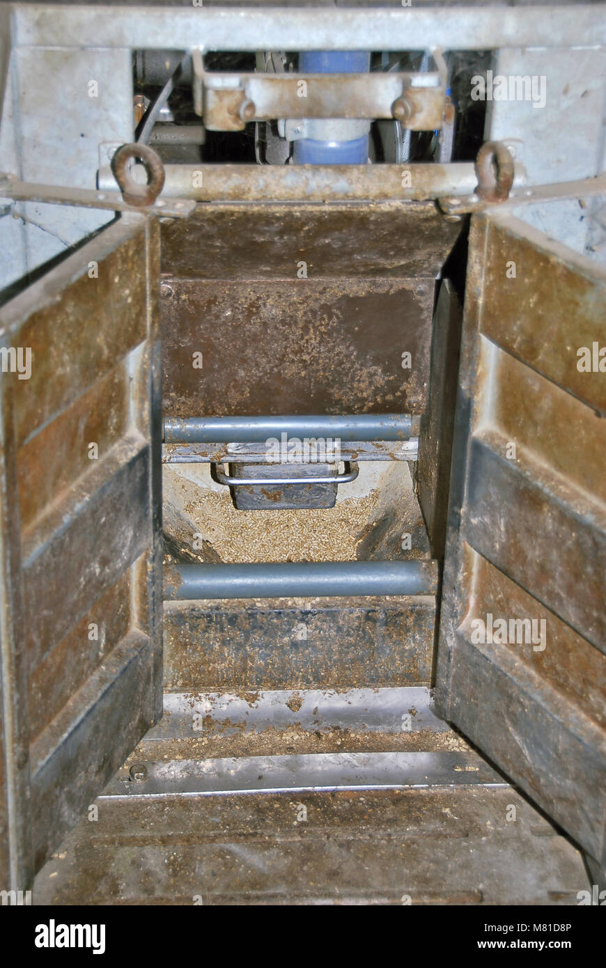 Pig fodder station 6 Stock Photo - Alamy