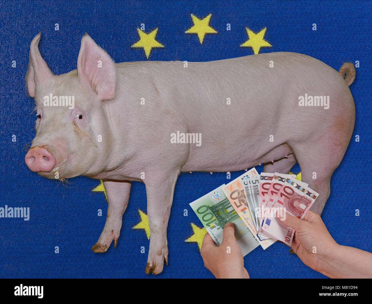 Counselling images hi-res stock photography and images - Alamy