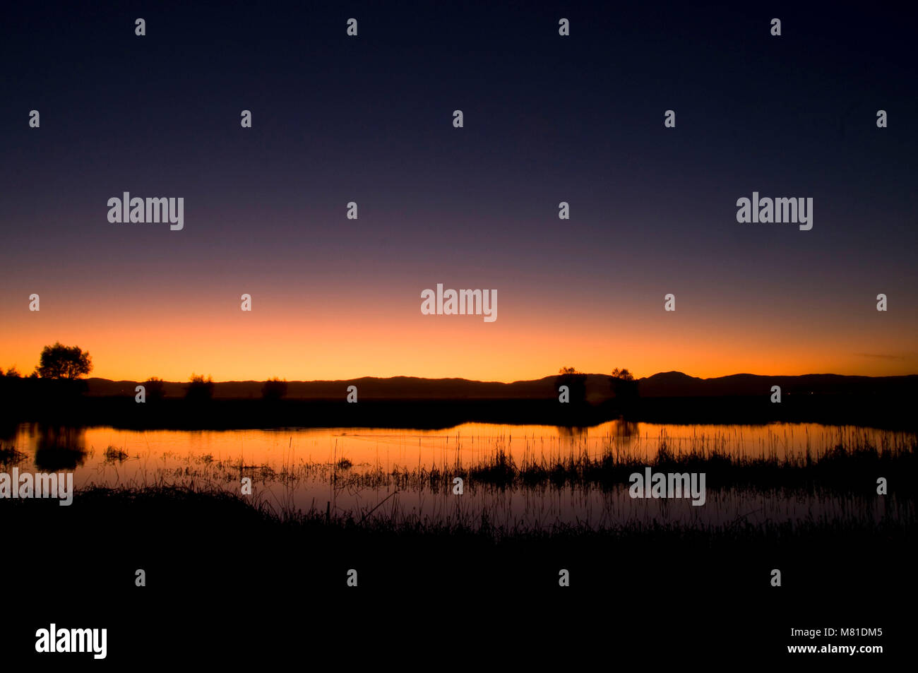 Colusa National Wildlife Refuge High Resolution Stock Photography and ...