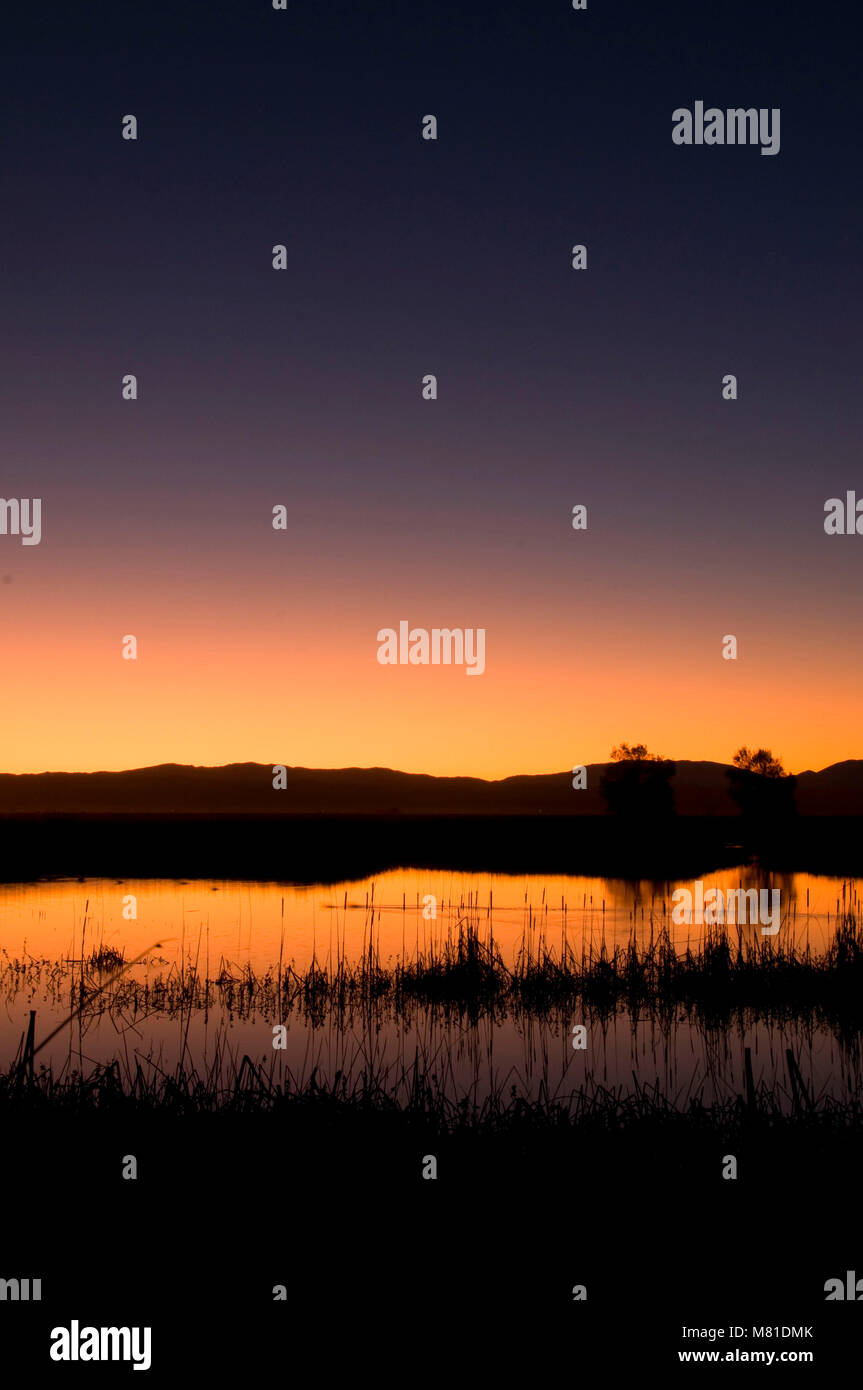 Marsh dusk, Colusa National Wildlife Refuge, California Stock Photo - Alamy