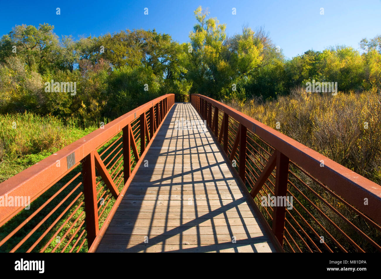 Trail bridge, Cosumnes River Preserve, California Stock Photo - Alamy