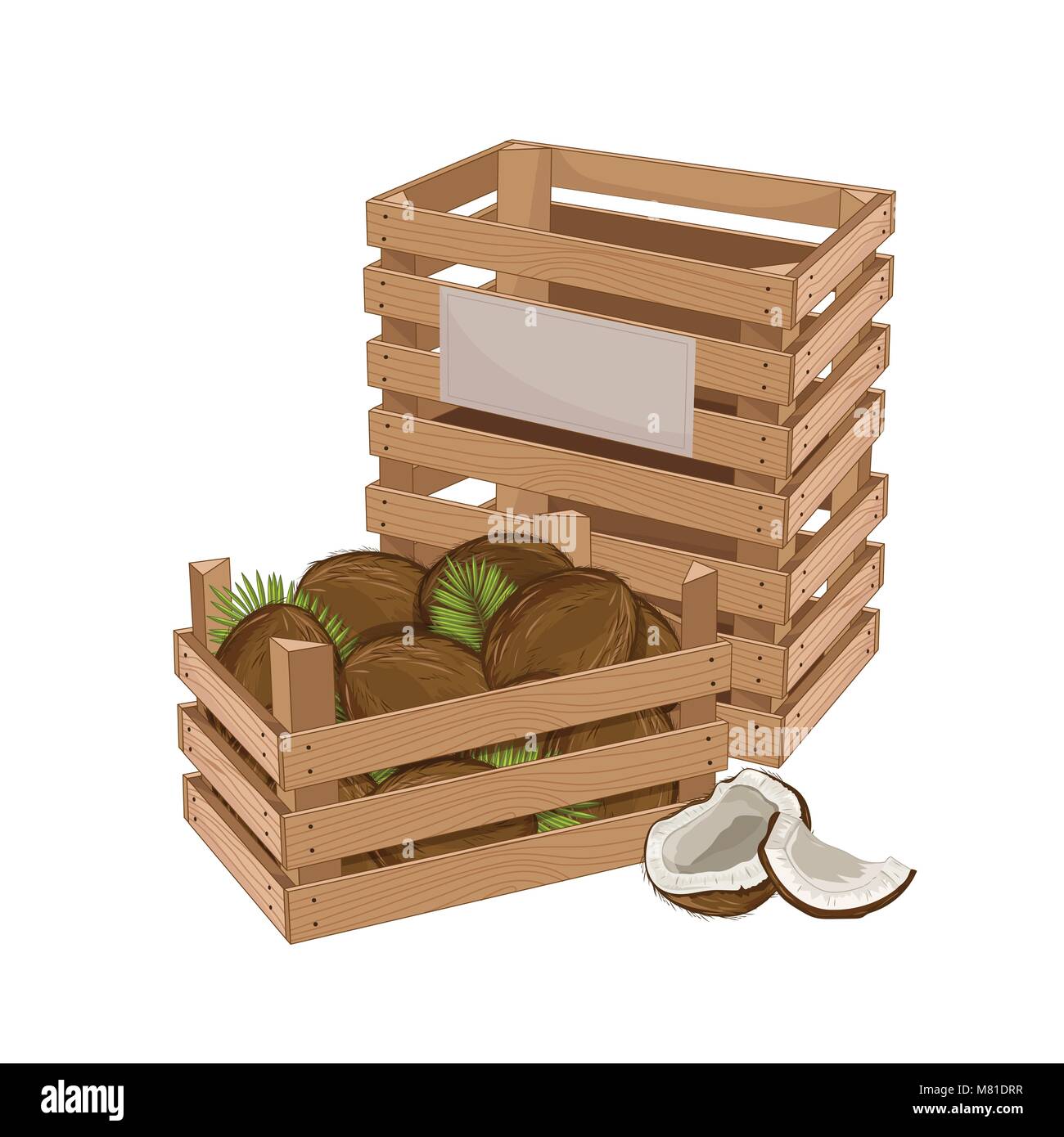 Wooden box full of coconut isolated vector Stock Vector Image & Art - Alamy