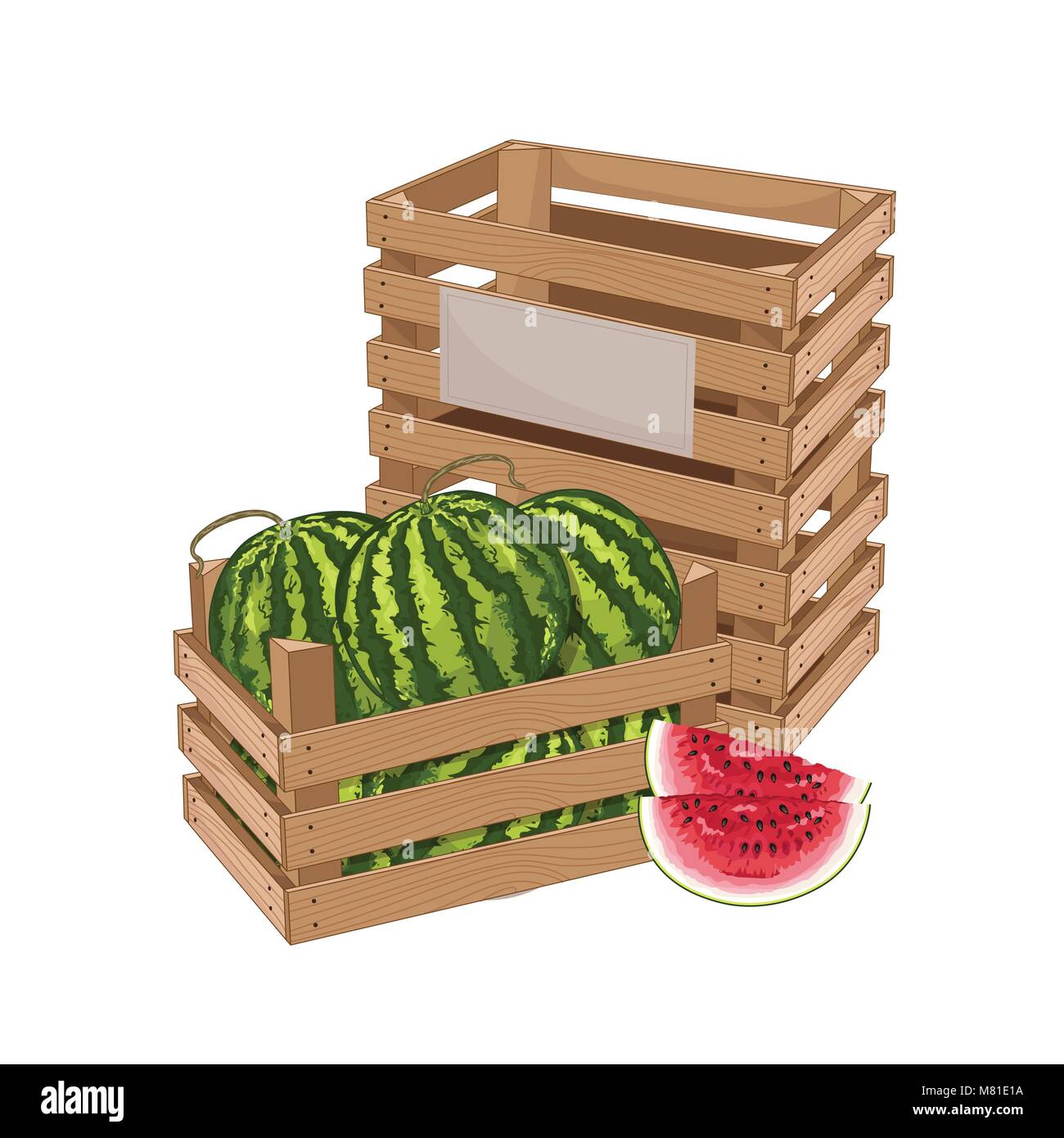 Wooden box full of watermelon isolated vector Stock Vector Image & Art ...
