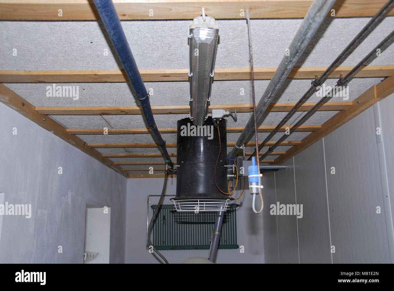 Methane production pigs hi-res stock photography and images - Alamy