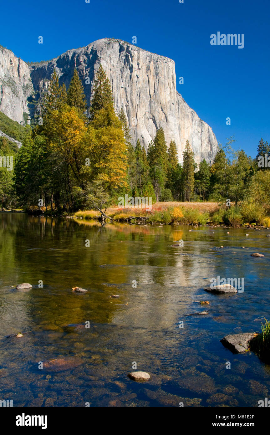 El Capitan from the Merced River, Yosemite National Park, California ...