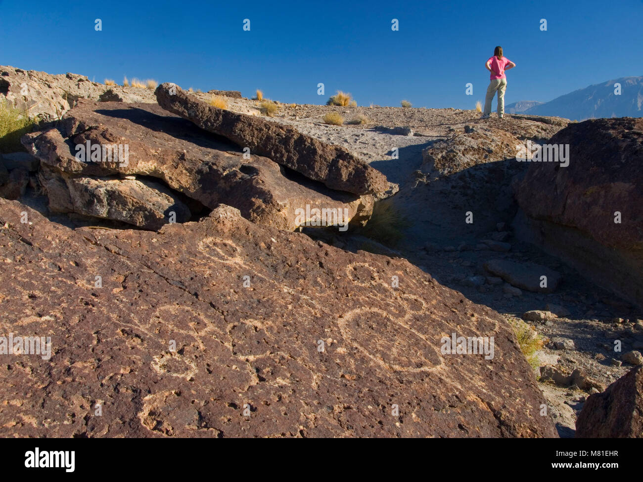 Fish Slough Petroglyphs, Fish Slough Area of Critical Environmental ...