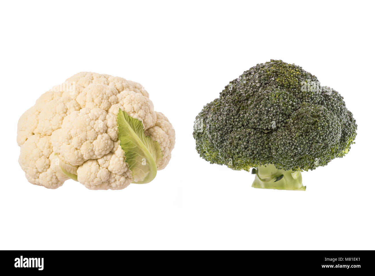 Frsh white cauliflower and Green broccoli. Studio shot isolated on ...