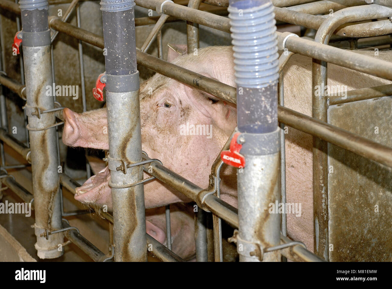 Self-tethering gate 1 Stock Photo - Alamy