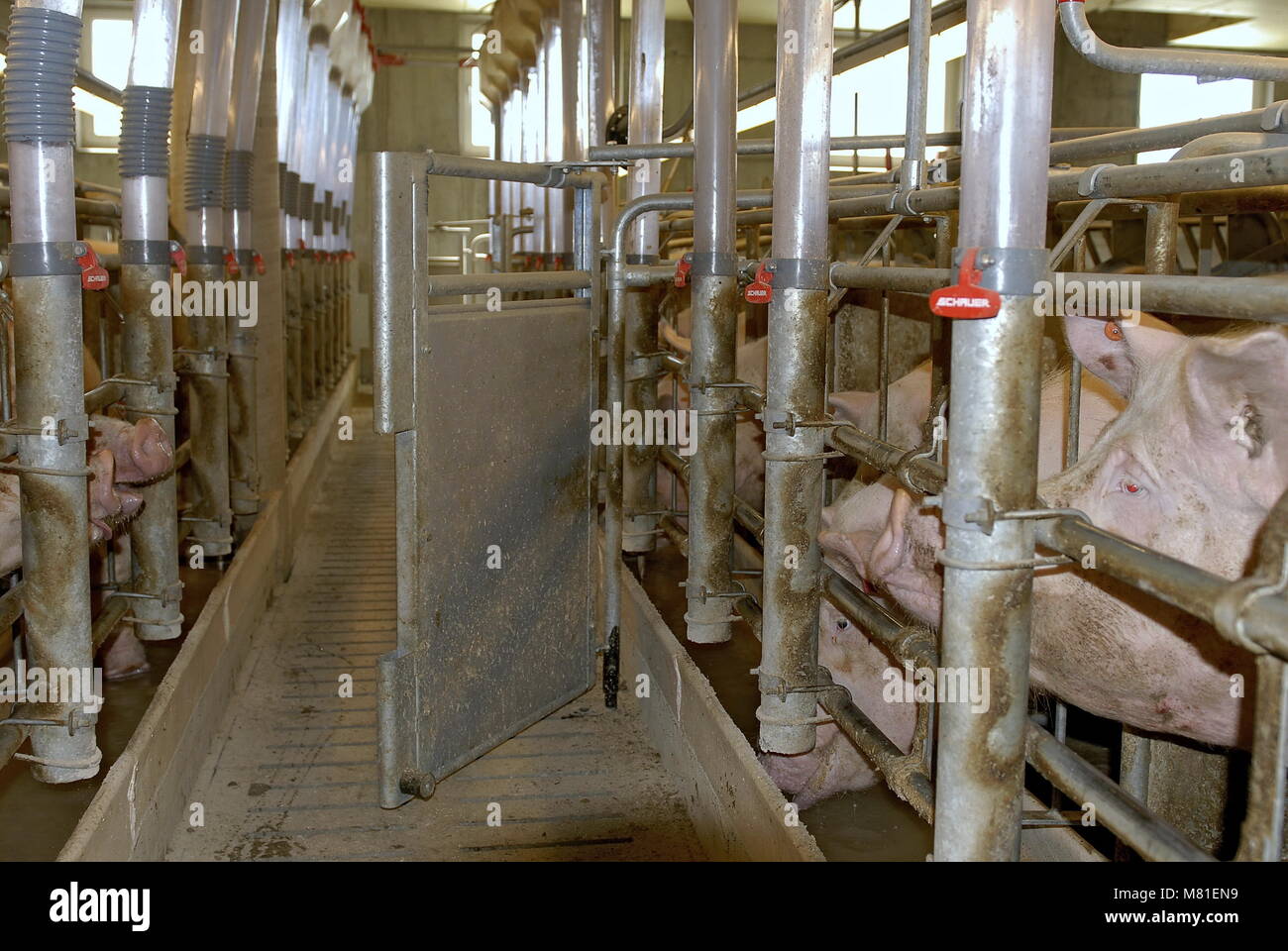 Self-tethering gate 6 Stock Photo - Alamy