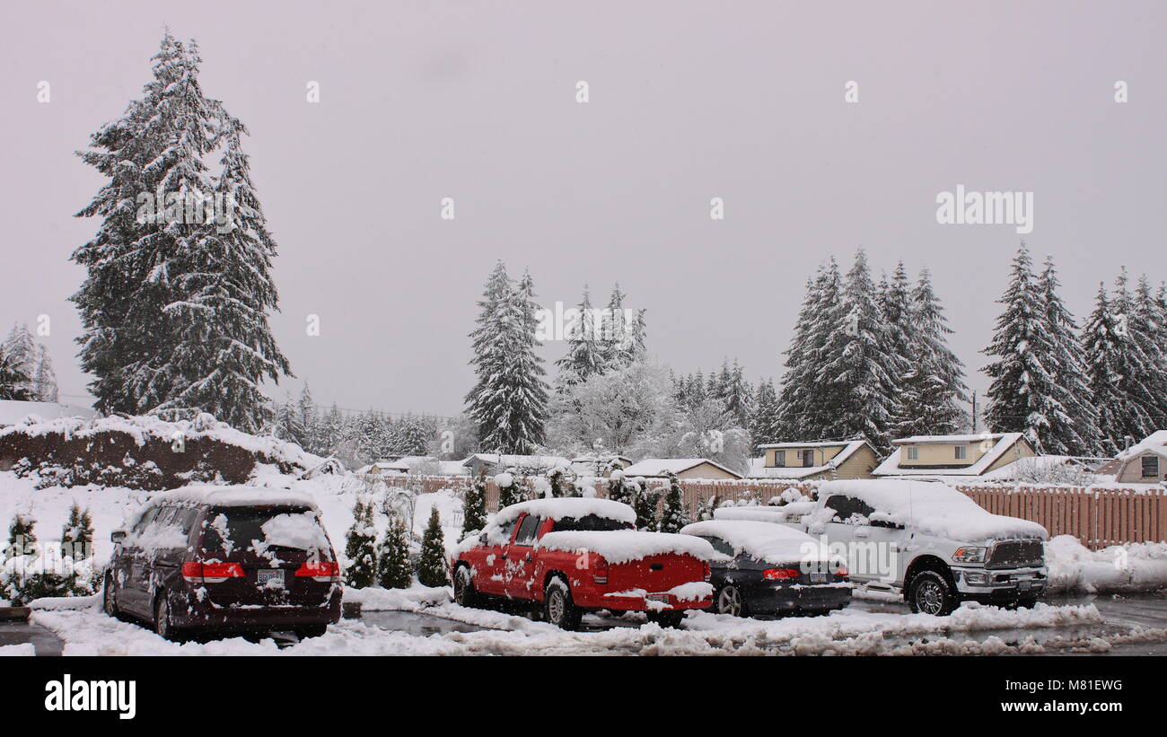 Winter Storm "Oliver Stock Photo - Alamy
