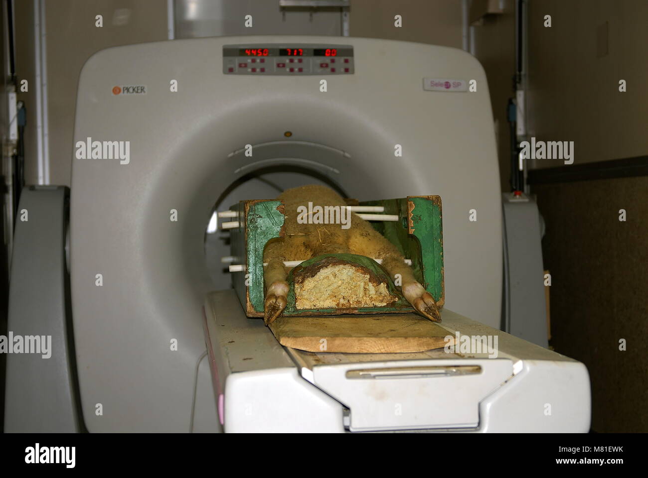 Sheep scanner hi-res stock photography and images - Alamy