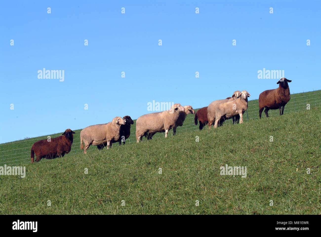 Cyclic home hi-res stock photography and images - Alamy