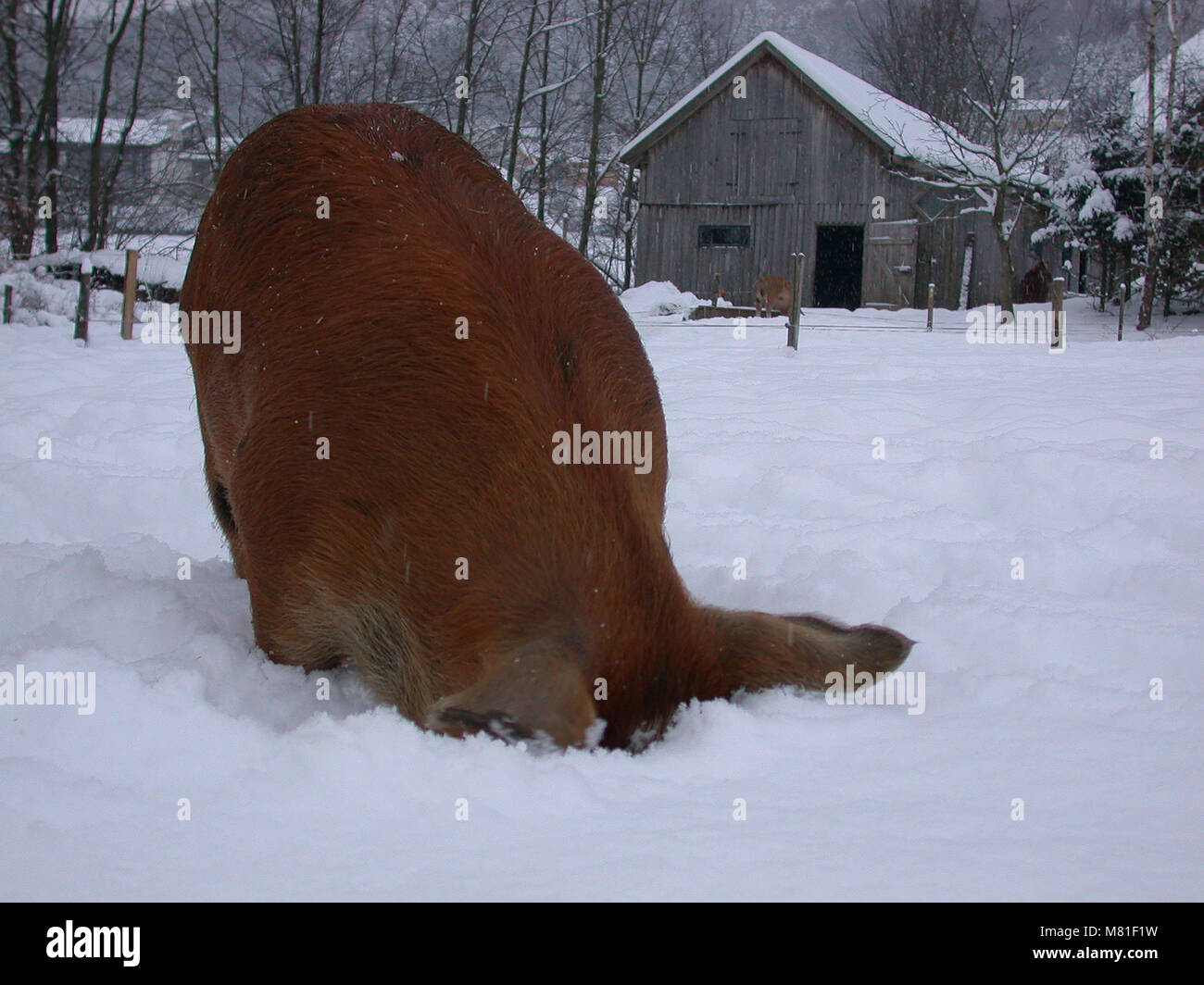 Bio freeze hi-res stock photography and images - Alamy