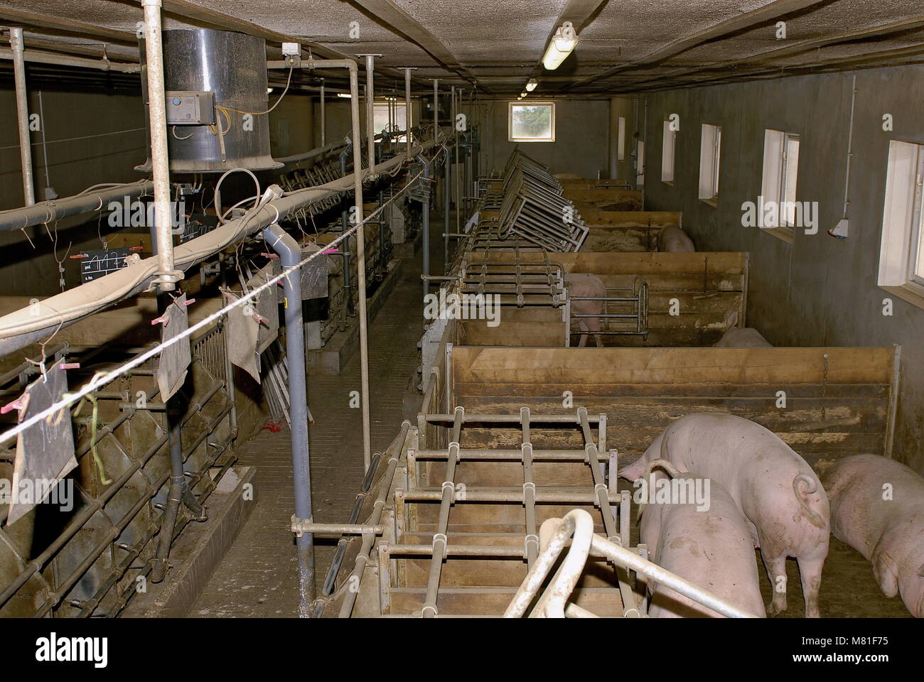Small houses stables hi-res stock photography and images - Alamy