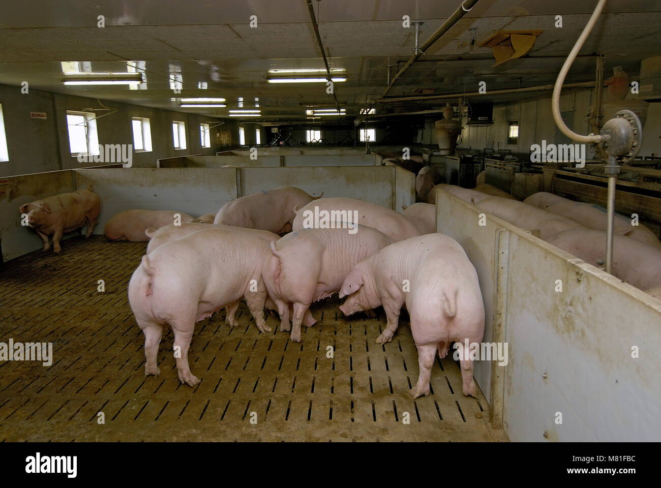 48 boxes hi-res stock photography and images - Alamy