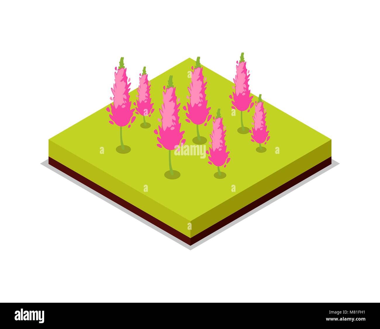 Pink flowers isometric 3D icon Stock Vector Image & Art - Alamy