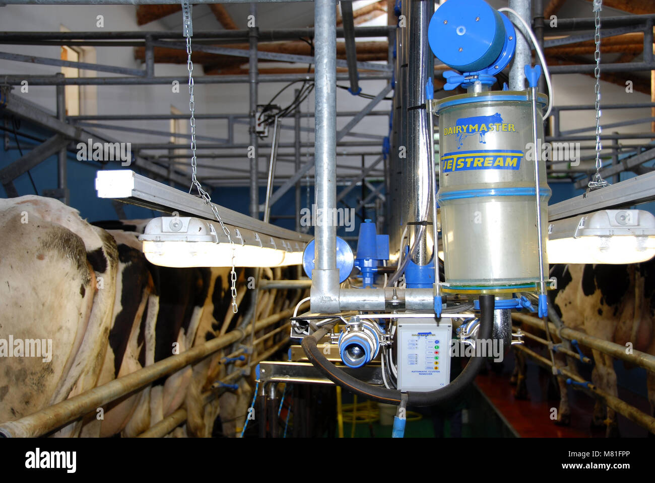 Milking german hi-res stock photography and images - Alamy