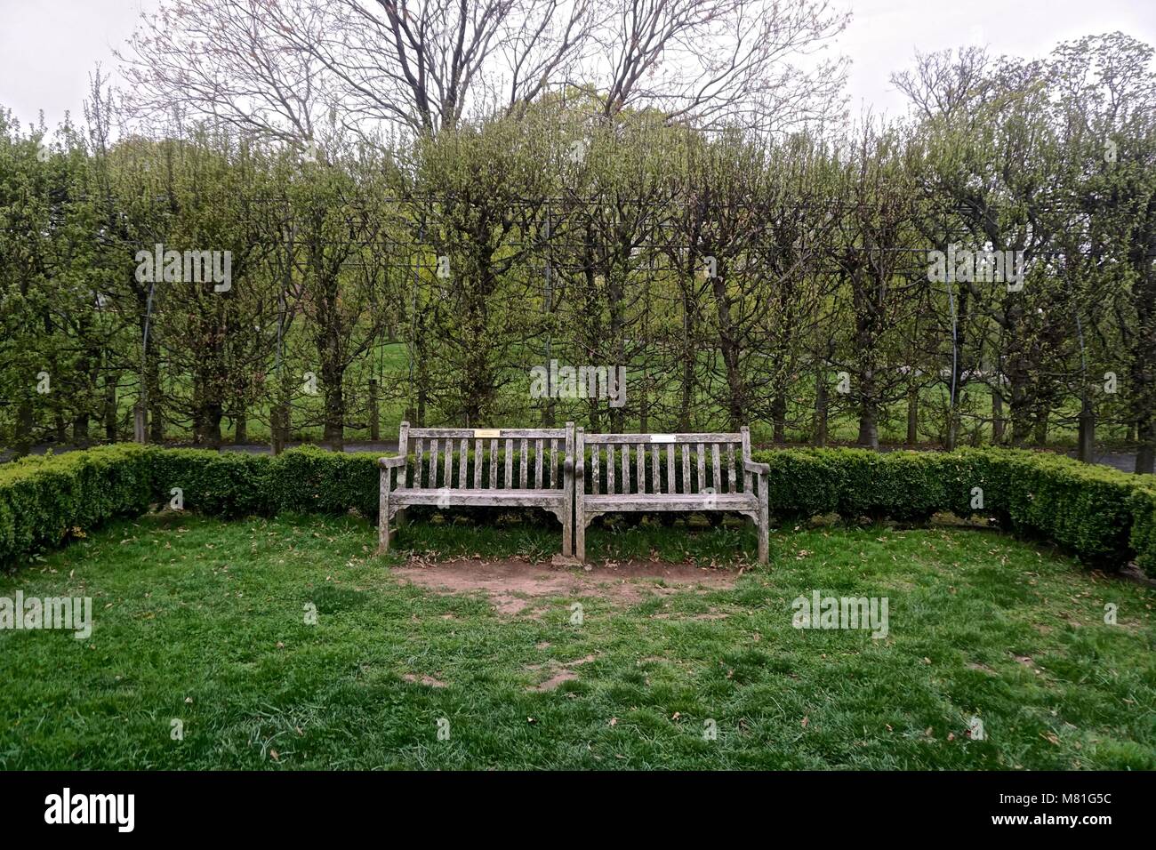 Benches at the Snug Harbor Cultural Center and Botanical Garden, on ...