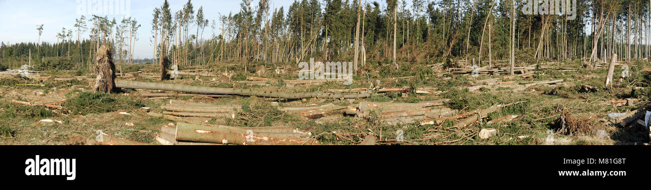 Windbreakages hi-res stock photography and images - Alamy