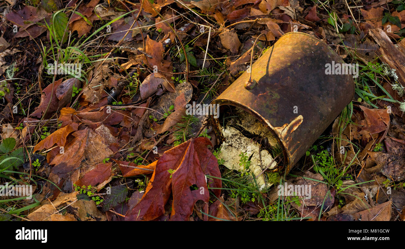 Old rusty paint can lying on the forest floor surrounded by leaves in ...