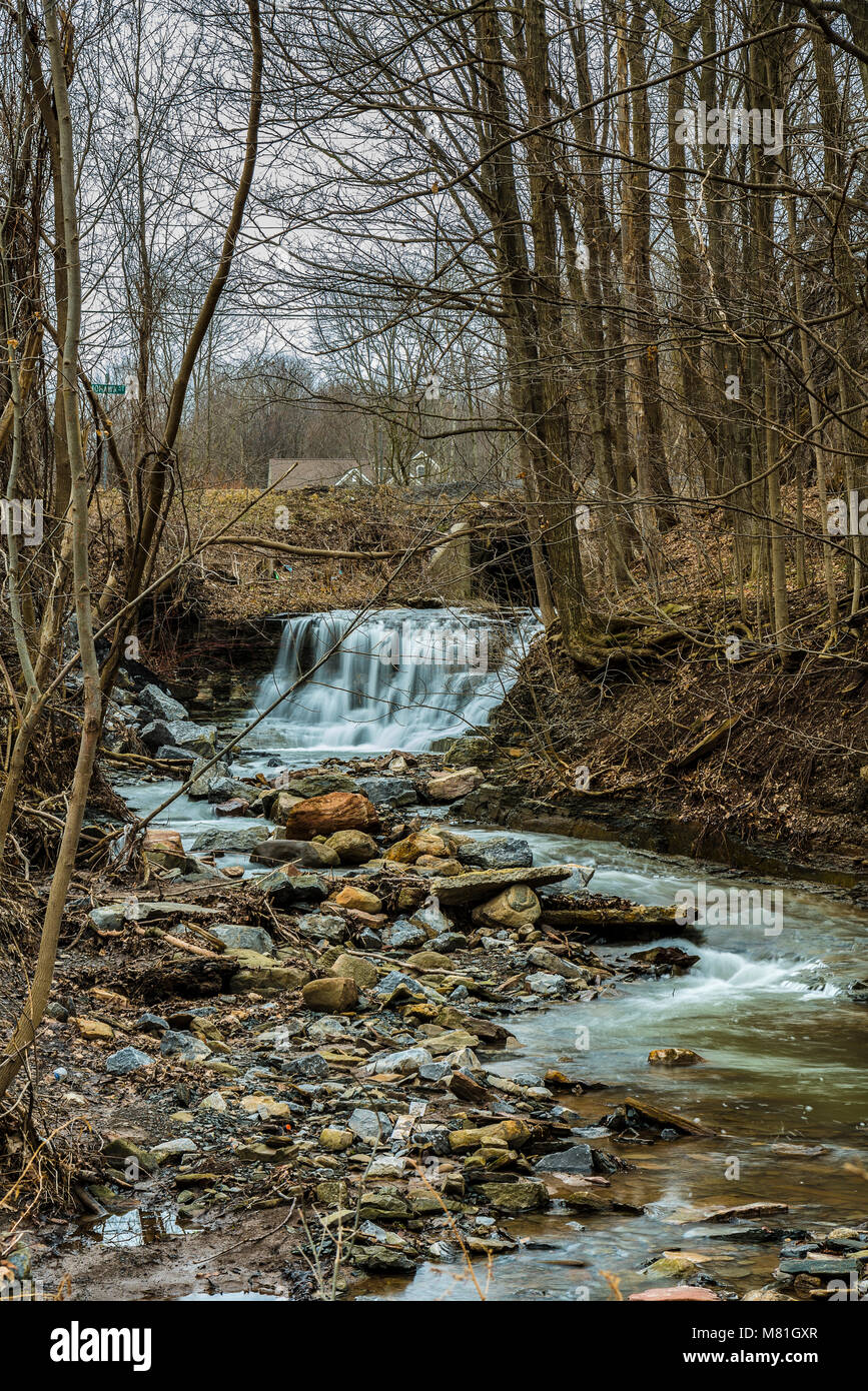 Branch of Sauquoit Creek Stock Photo - Alamy