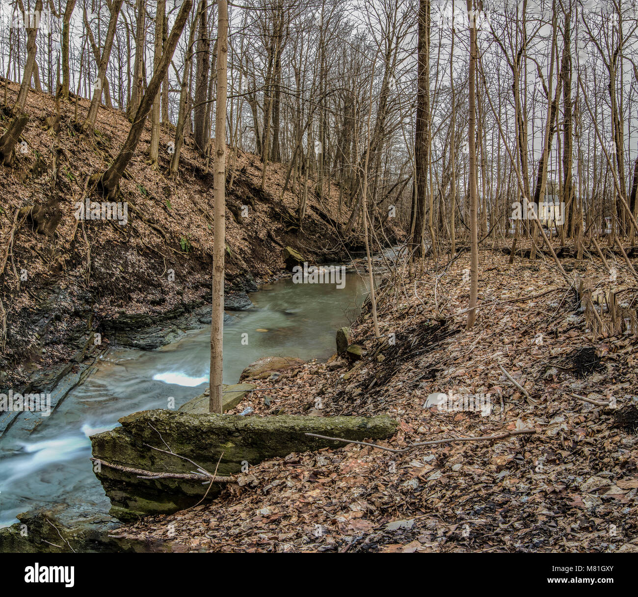 Branch of Sauquoit Creek Stock Photo - Alamy