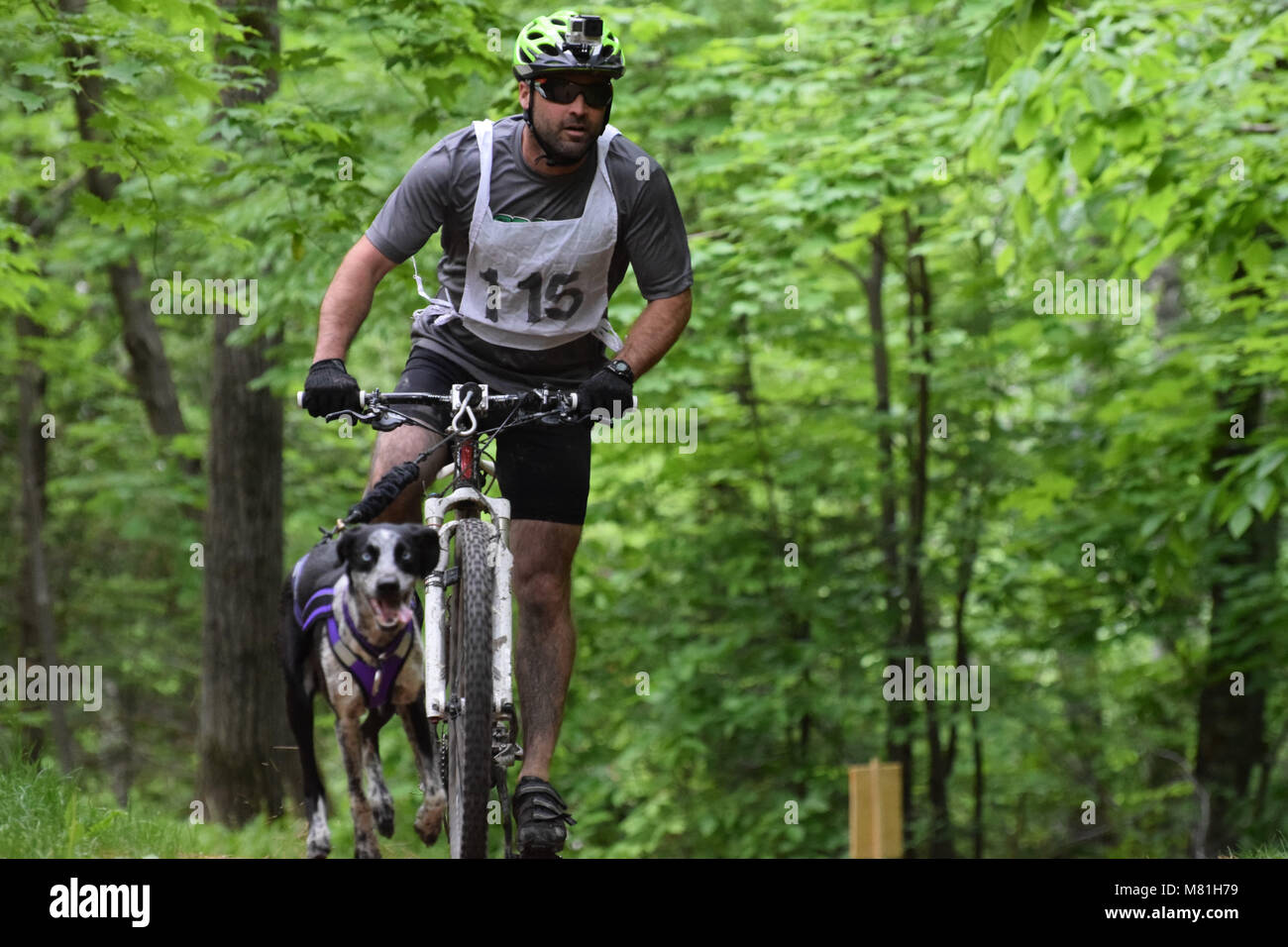 Riding a bike with dogs pulling hi-res stock photography and images - Alamy