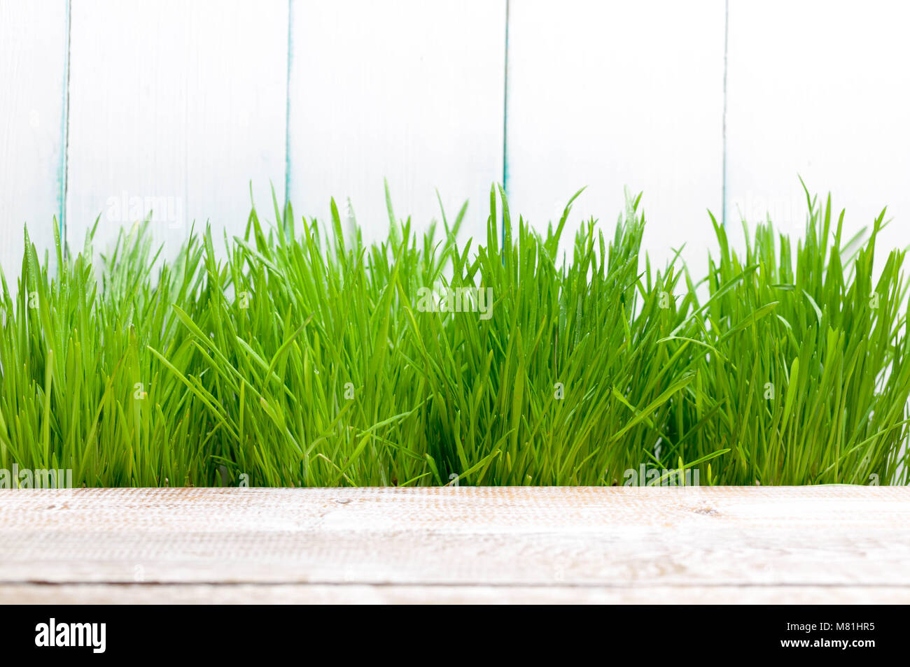 Wood grass green hi-res stock photography and images - Alamy