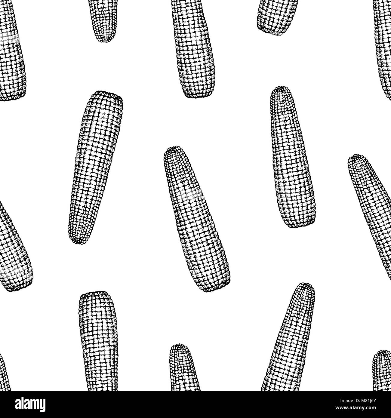 Vector seamless pattern with corn on the cob. Retro engraved ...