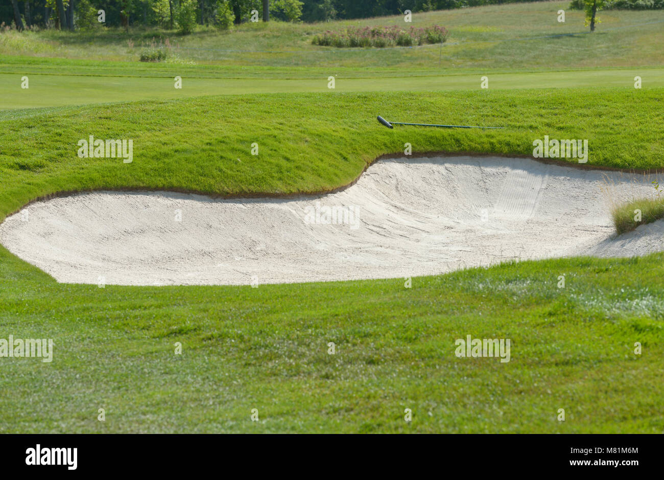 Sand hazard on a golf course Stock Photo - Alamy
