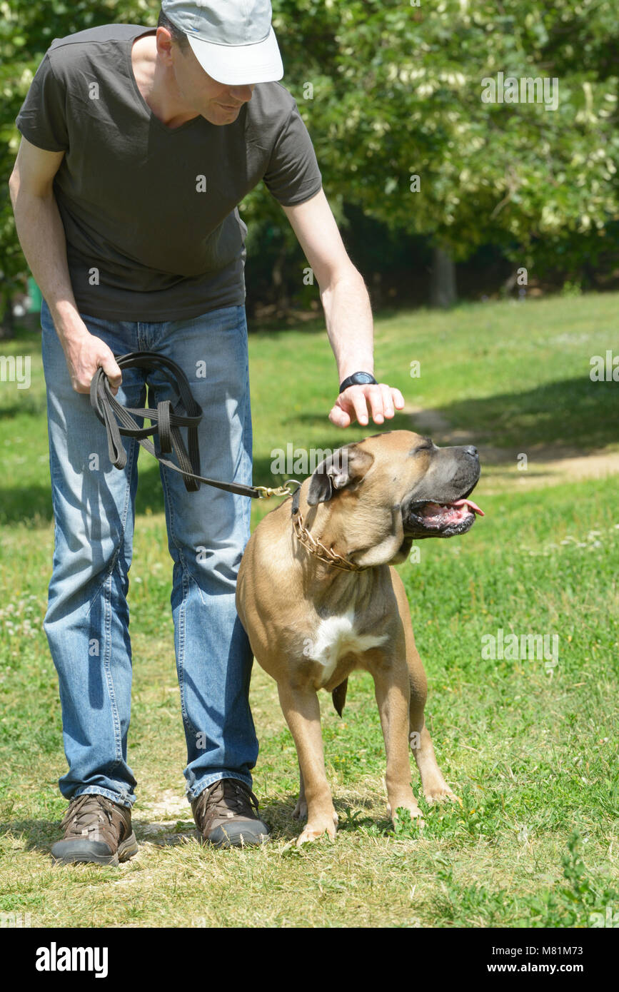 Man walking with his dog in the park Stock Photo - Alamy