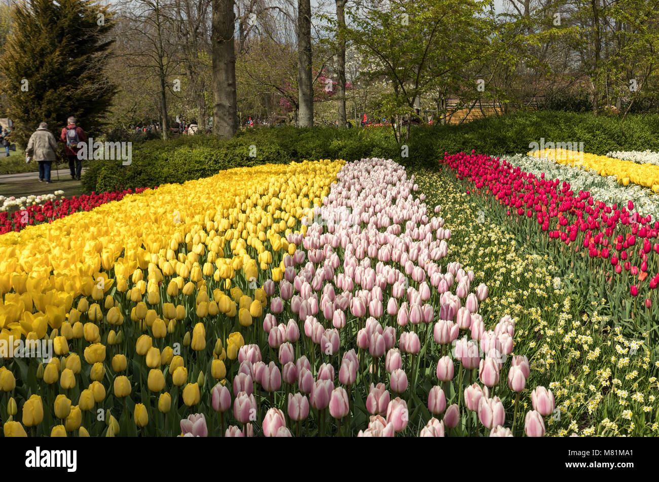 LISSE, NETHERLANDS - APRIL 19, 2017: Colorful flowers in the Keukenhof ...