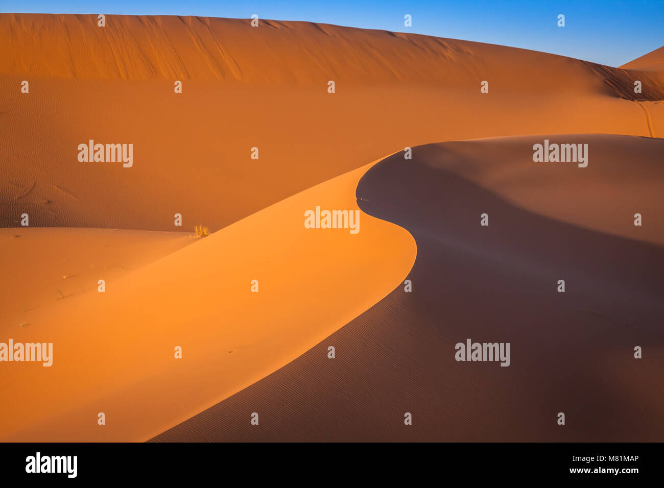 The seas of dunes of Erg Chebbi near Merzouga in southeastern Morocco ...