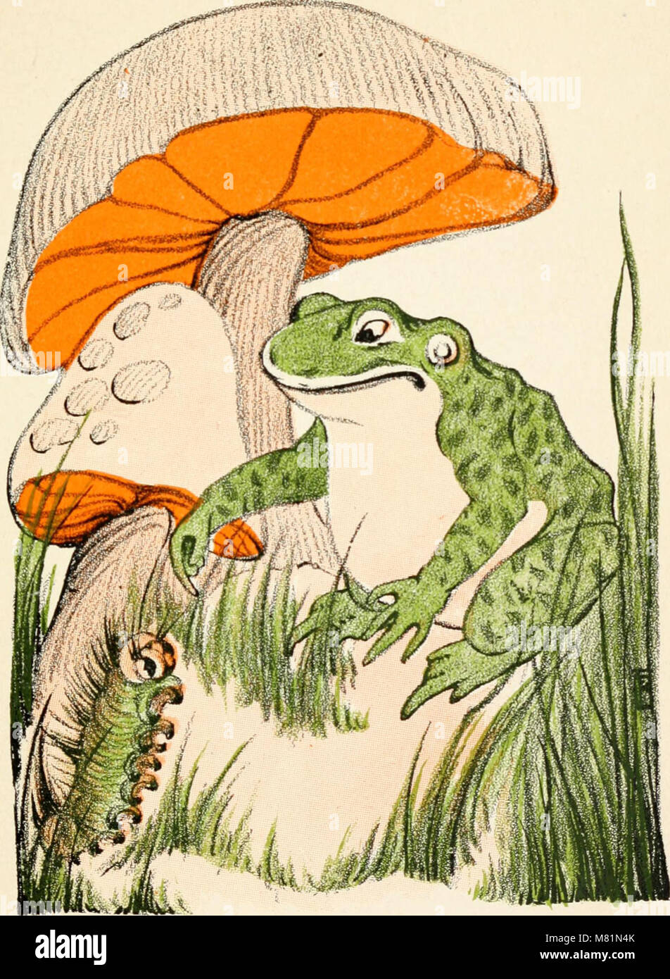 'Bully Bull Frog and his Home in Rainbow Valley' is a 1921 illustration ...