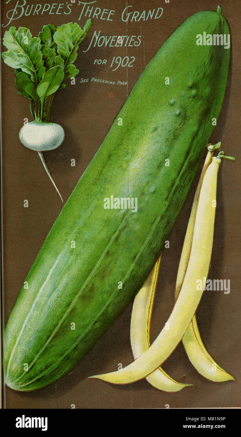 Burpee's 1902 farm annual - vegetable, flower and farm seeds (1902 ...