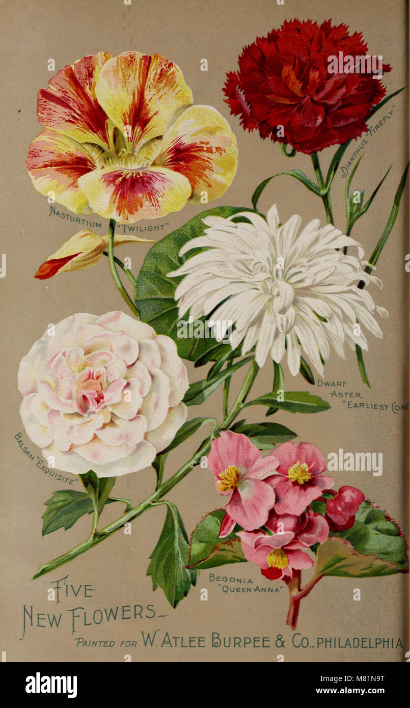 Burpee's 1902 Farm Annual catalog provides a comprehensive listing of ...