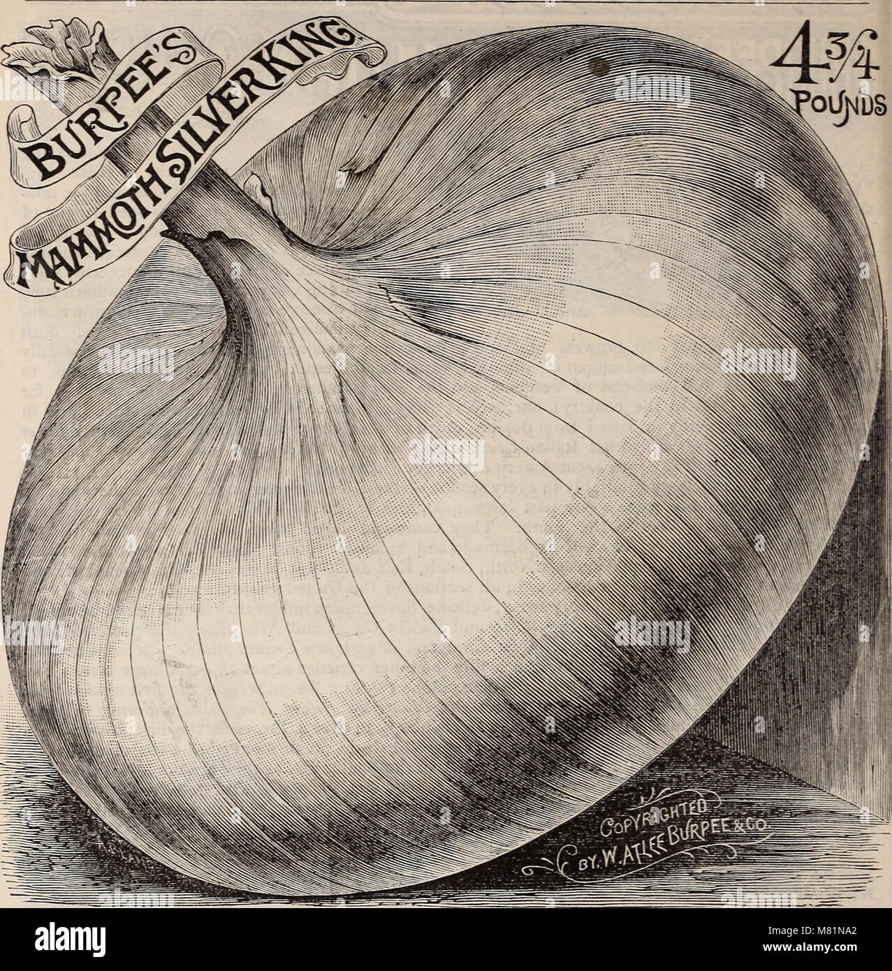 Burpee's farm annual, 1887 - garden, farm, and flower seeds (1889 ...