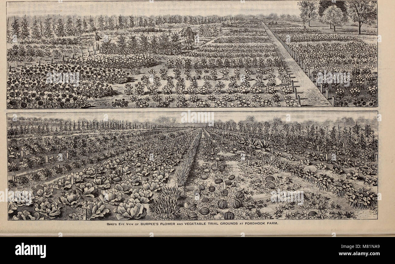 Burpee's Farm Annual (1887) is a comprehensive guide for gardeners and ...