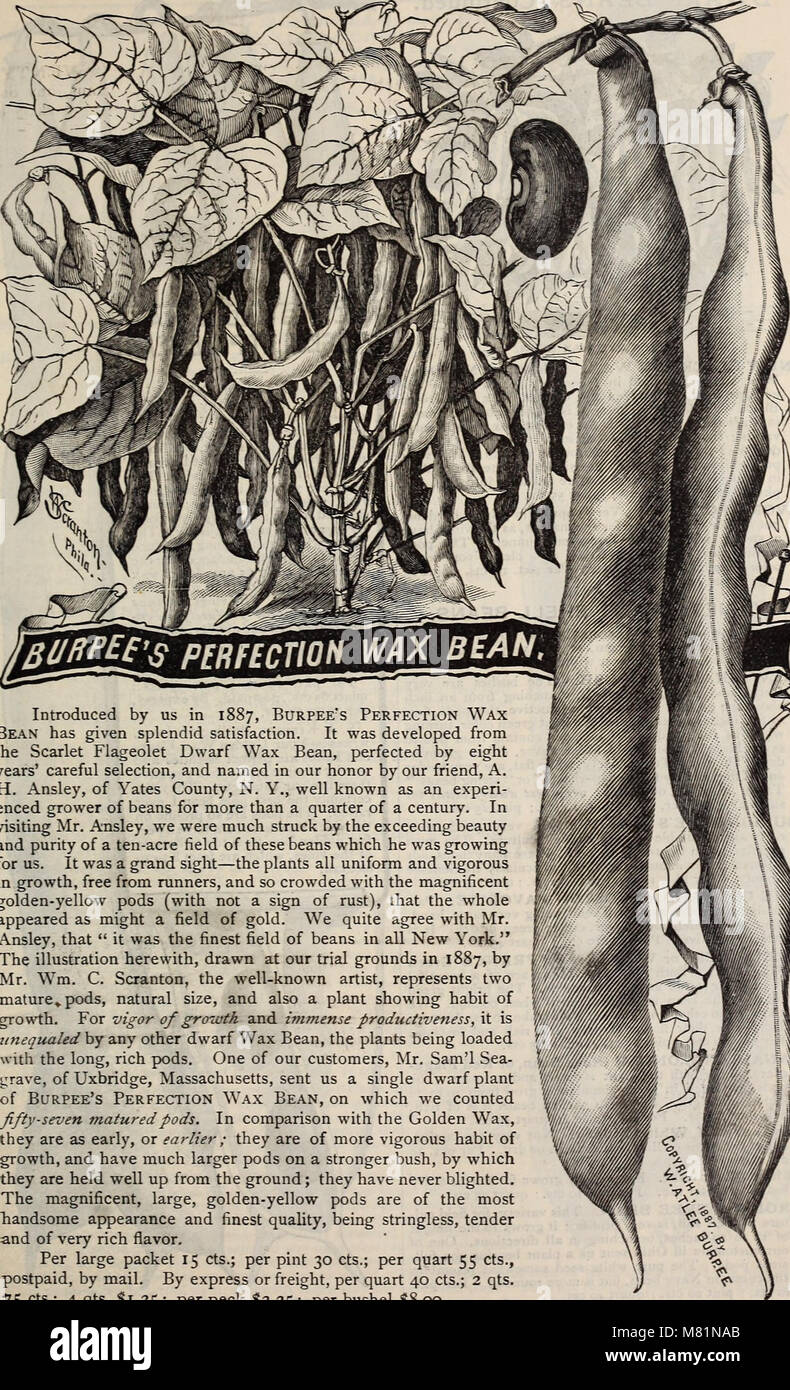 Burpee's farm annual, 1887 - garden, farm, and flower seeds (1889 ...