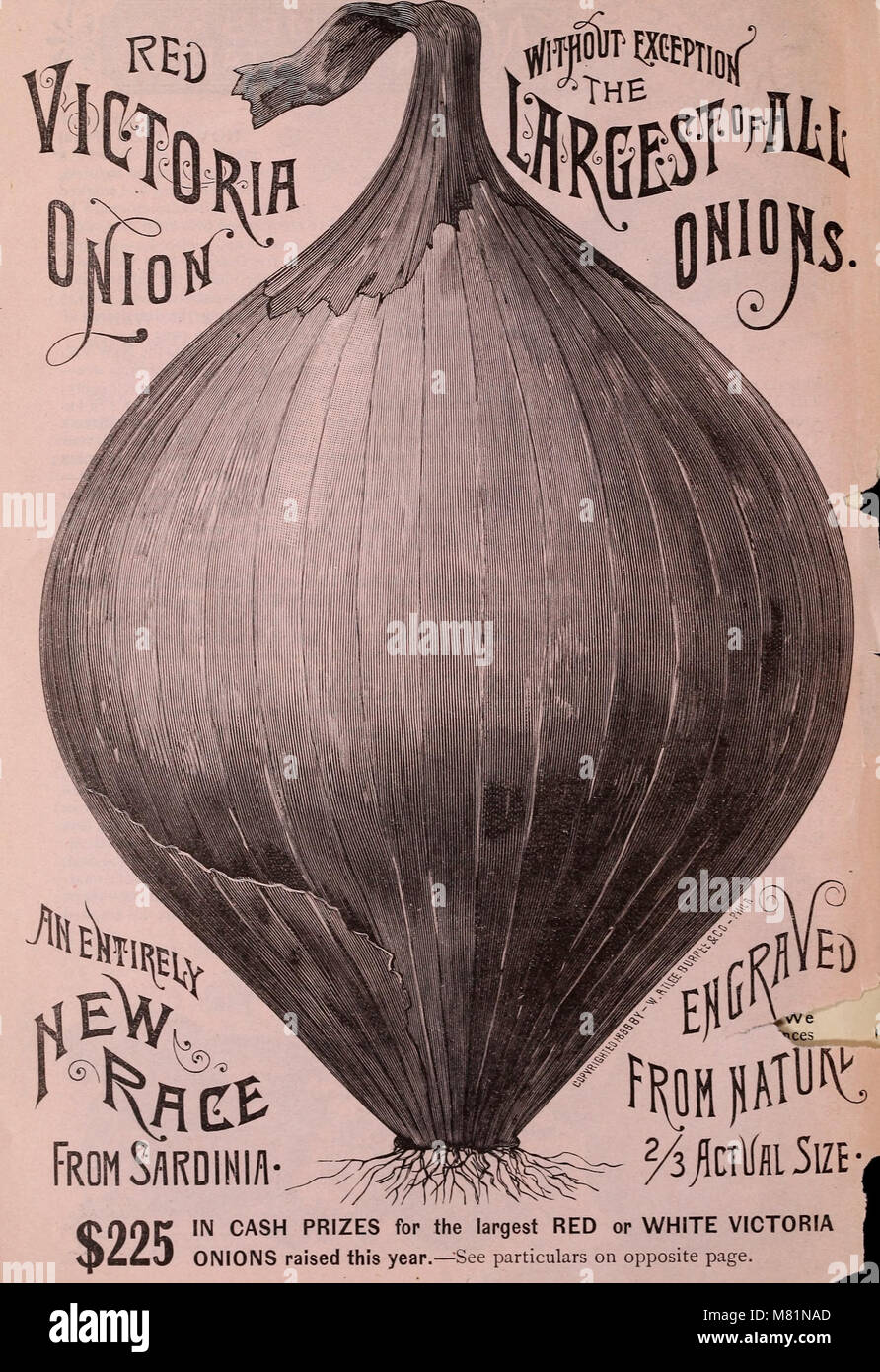 Burpee's farm annual, 1887 - garden, farm, and flower seeds (1889 ...