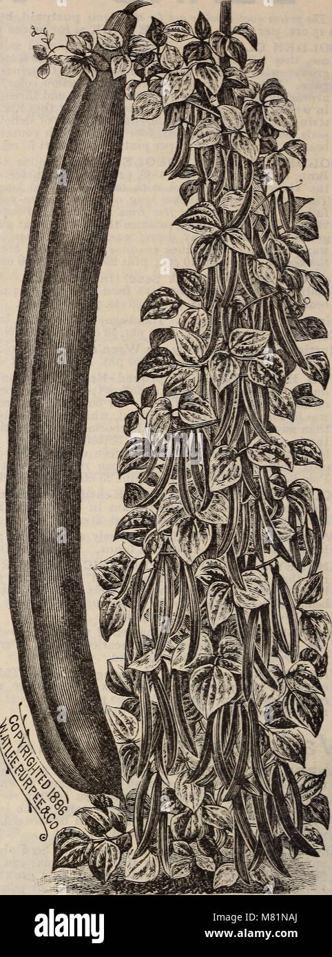 Burpee's 1892 Farm Annual is a comprehensive guide to gardening ...